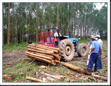 El Lector Insatisfecho: Explotación forestal sostenible